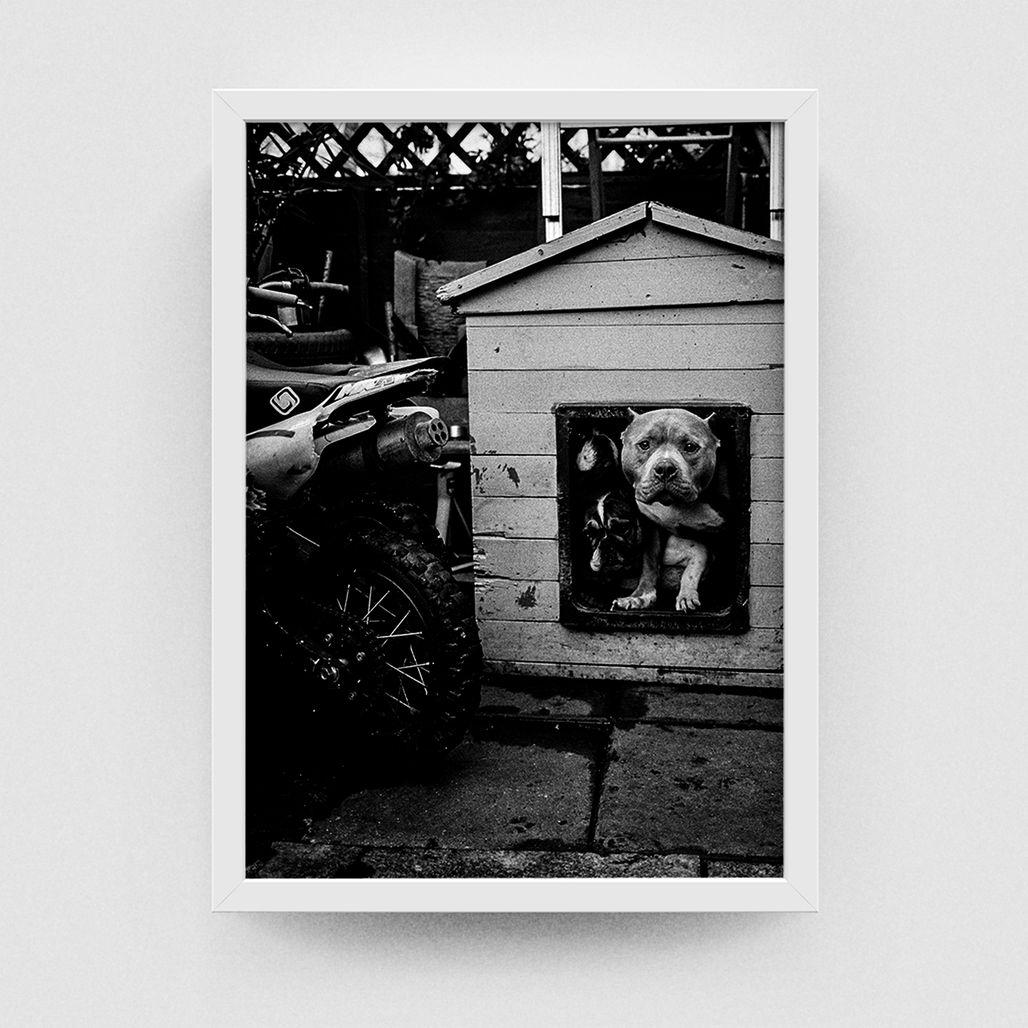 Neptune Estate by Jaobi Hoff | Contemporary Art Print | Giclée on ...